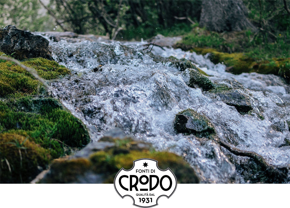 LemonSoda - LemonSoda Nederland